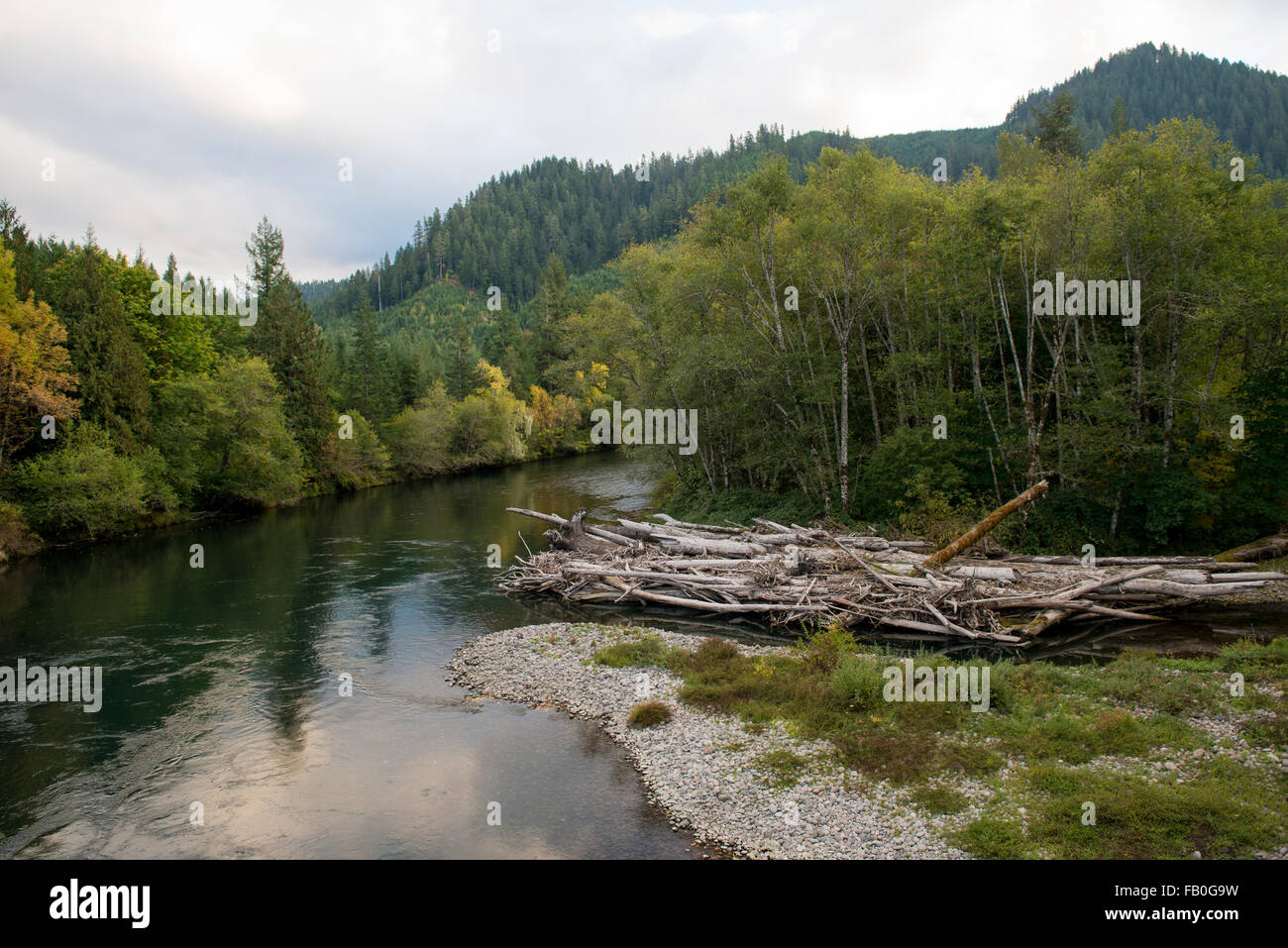 The McKenzie River flows gently through the forest near Finn Rock off ...