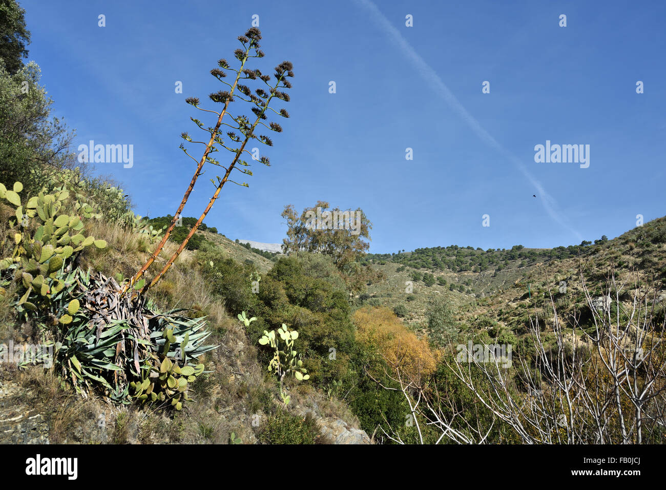 Almijara and almara hi-res stock photography and images - Alamy