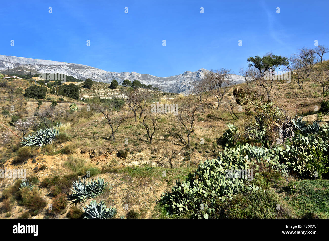 Almijara and almara hi-res stock photography and images - Alamy