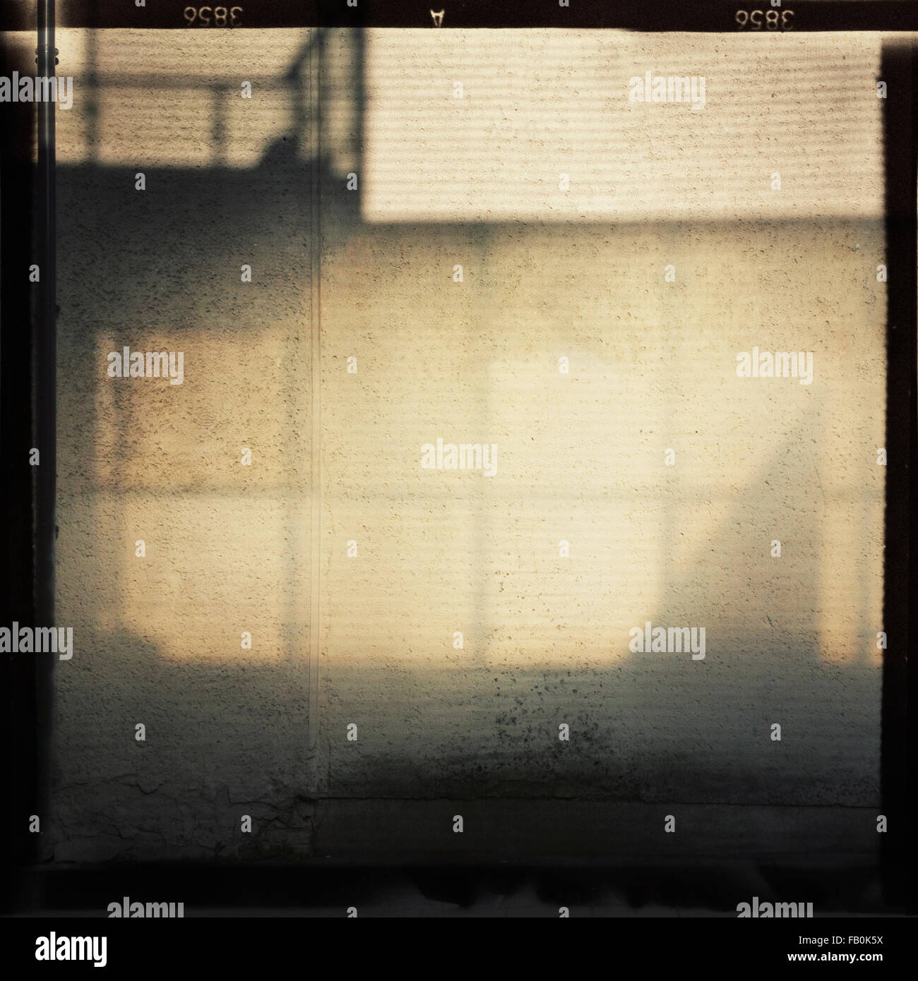 Abstract film background. Shadows on the wall. Contains soft grain ...