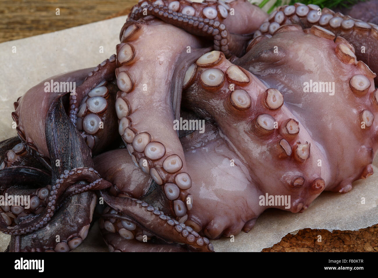 Big Raw octopus with dill ready cooking Stock Photo - Alamy