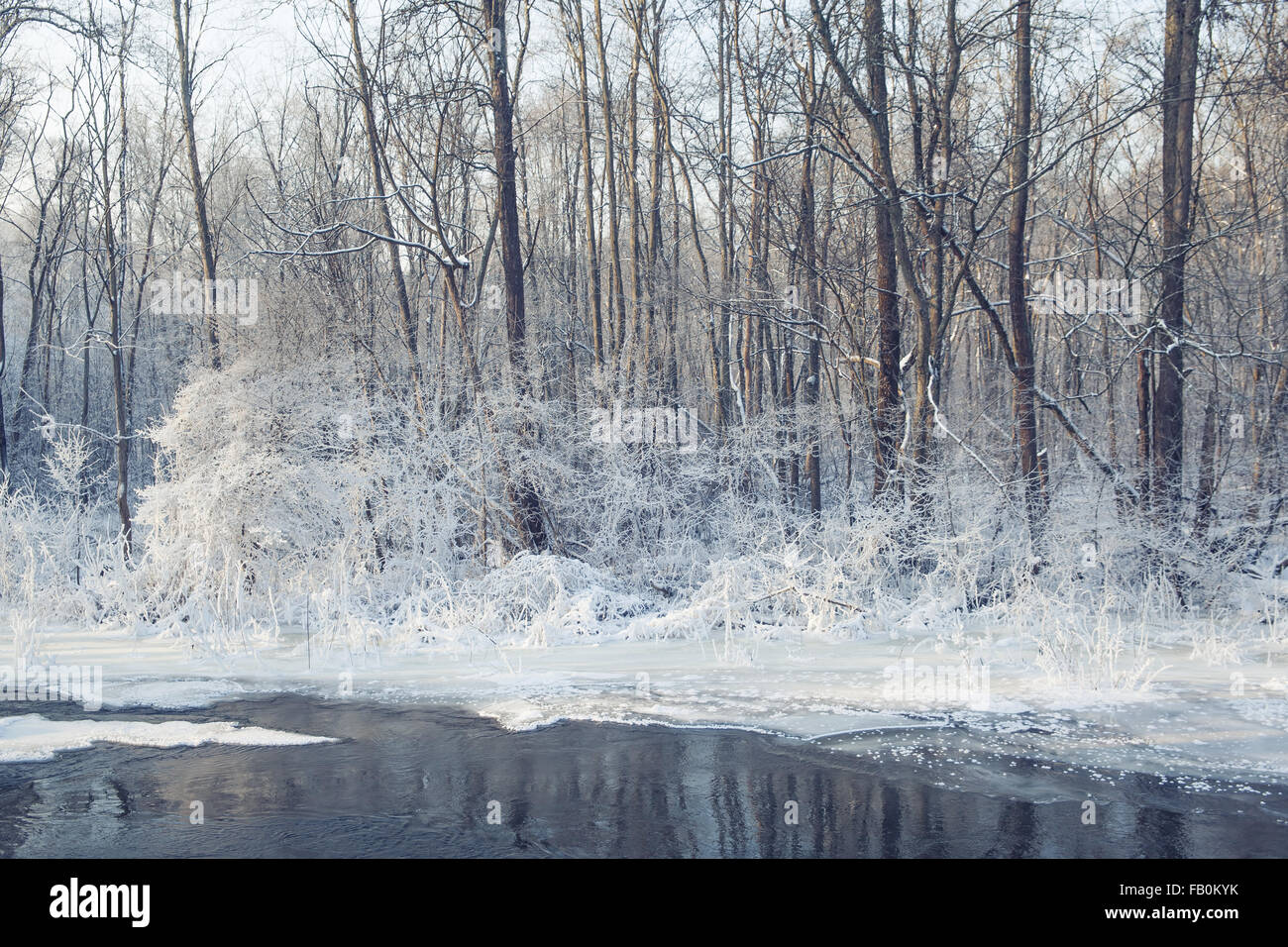 Beautiful frozen winter landscape hi-res stock photography and images ...