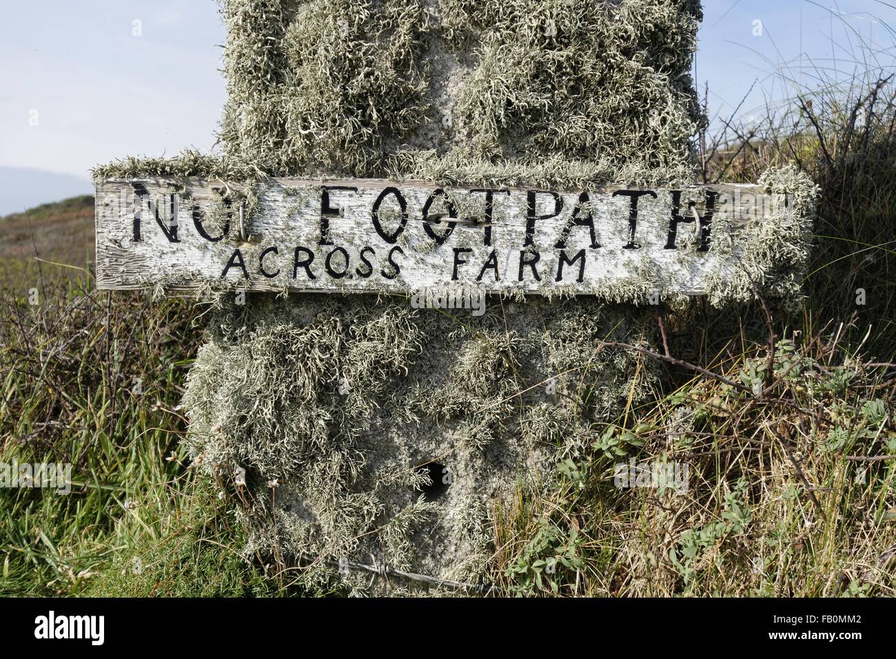Weather beaten stone hi-res stock photography and images - Alamy