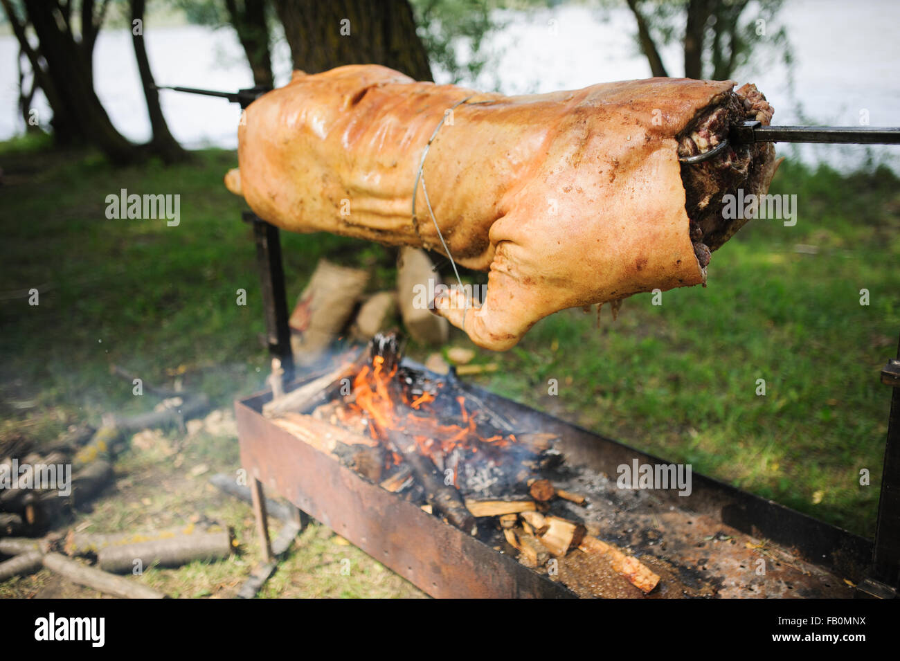 Roasting pig hi-res stock photography and images - Alamy
