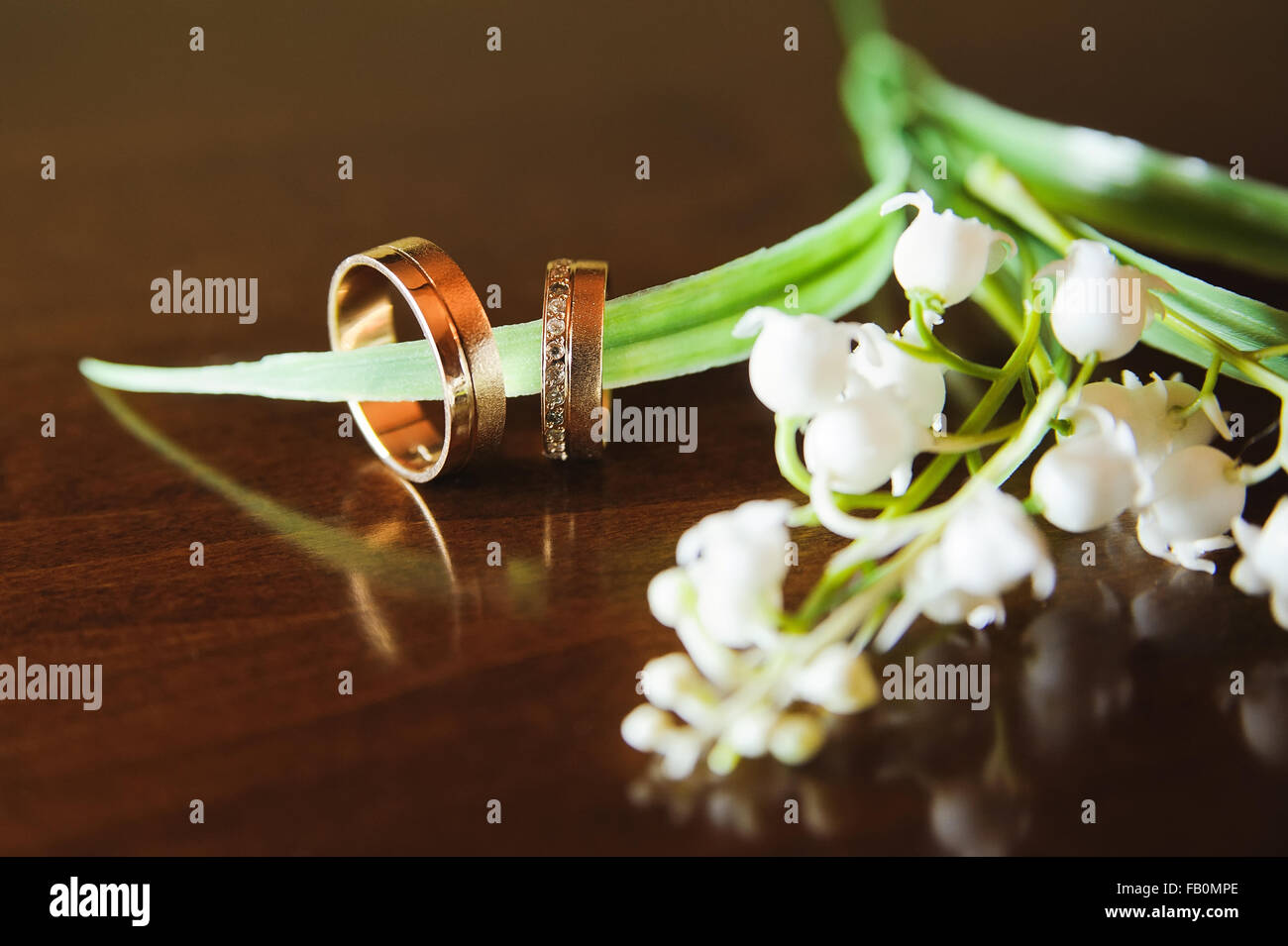 Ring bell flower hi-res stock photography and images - Alamy
