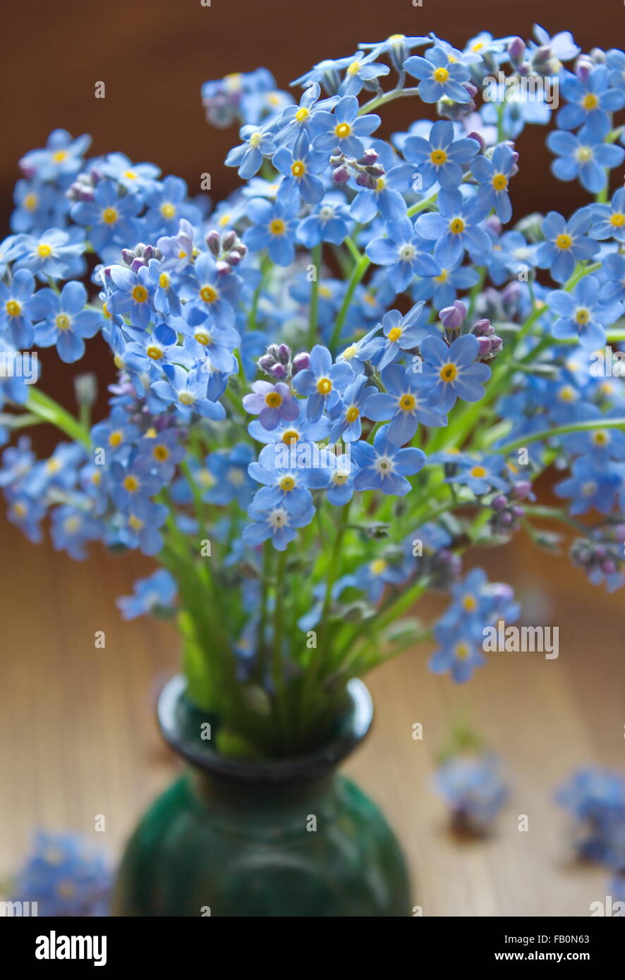 bouquet of forget me nots in green vase Stock Photo - Alamy