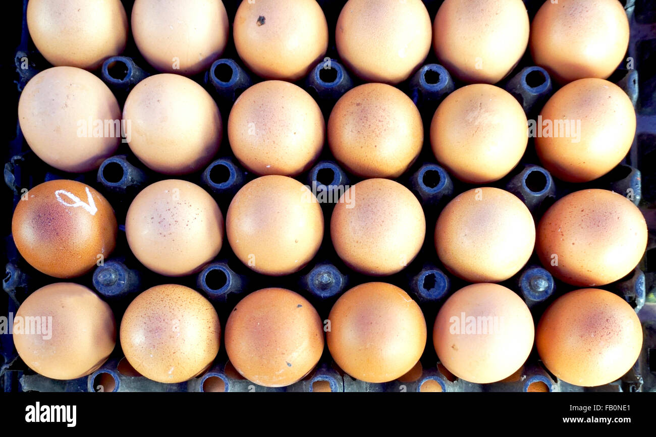 Eggs top view in farmer market luang prabang hi-res stock photography ...