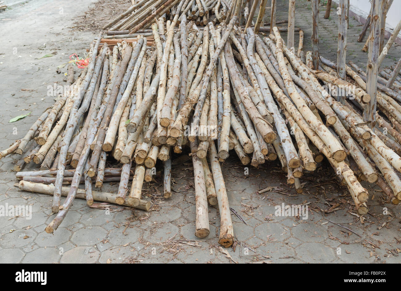 Pile of tree trunks, Lumber pile at construction site wasted wood ...
