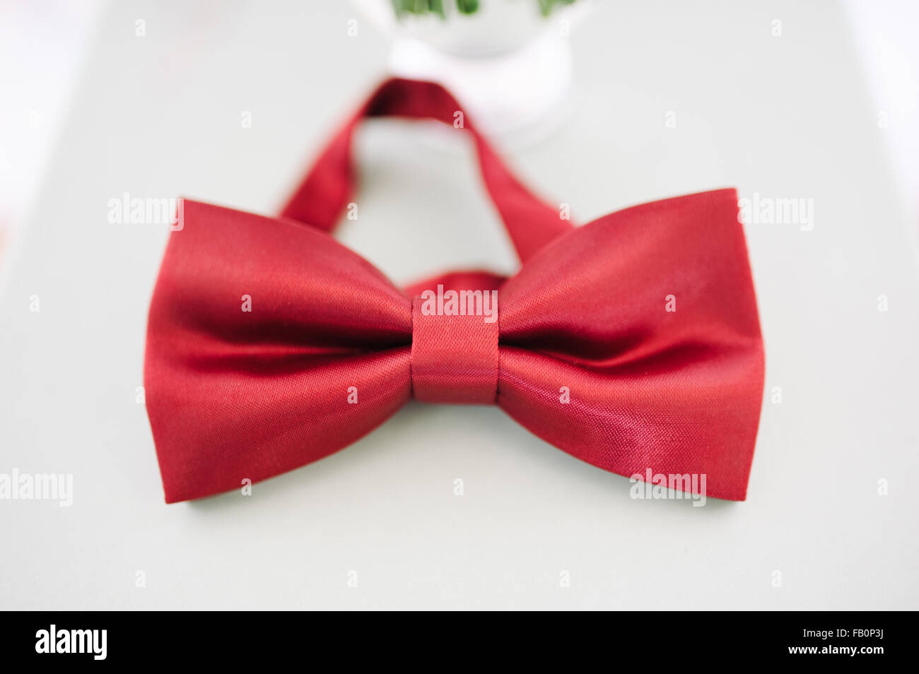 Grooms preparation hi-res stock photography and images - Alamy