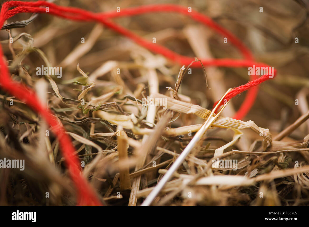 great stuff-needle with red thread in the haystack Stock Photo - Alamy