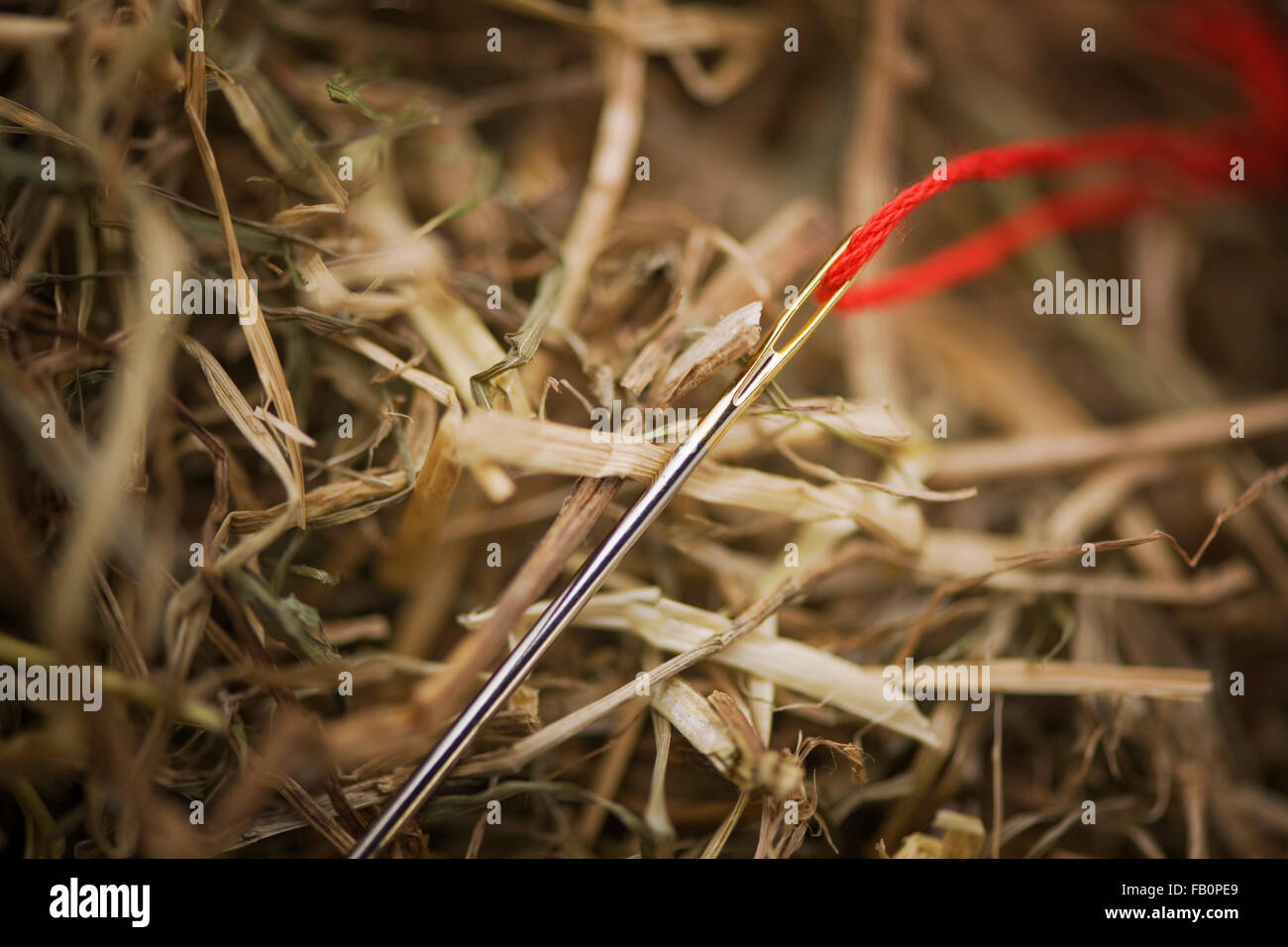 great stuff-needle with red thread in the haystack Stock Photo - Alamy