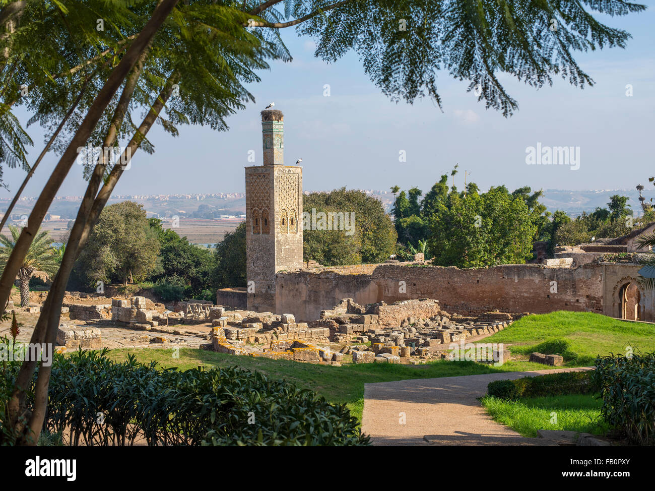 Ruins of the Roman city known as Sala Colonia and the Islamic complex ...