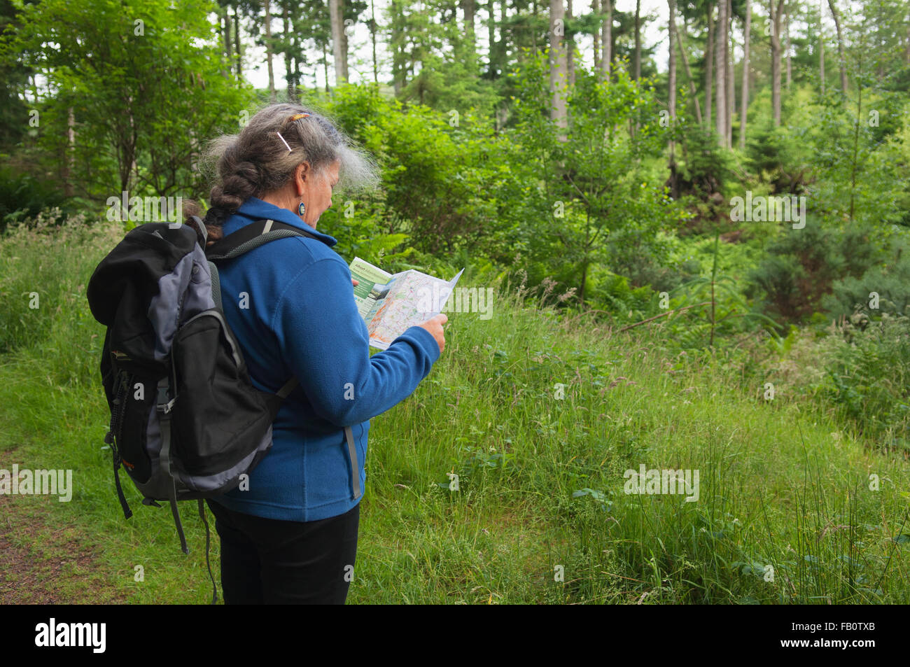 Map of woods hi-res stock photography and images - Alamy