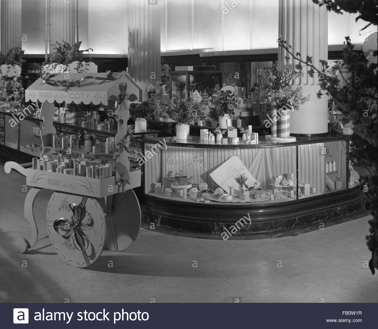 Coty Stock Photos & Coty Stock Images - Alamy