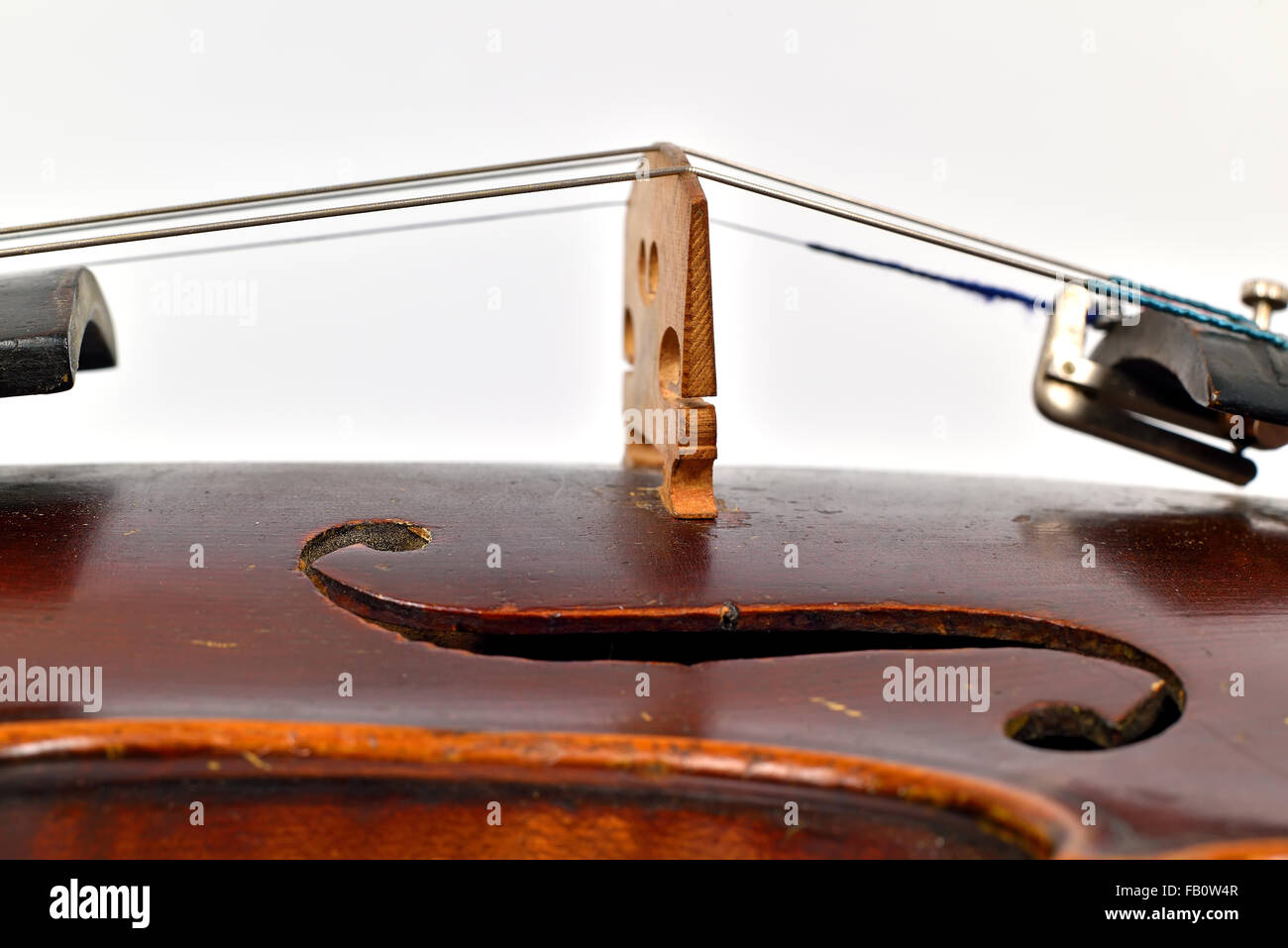 Close up view on violin strings and violin body Stock Photo - Alamy