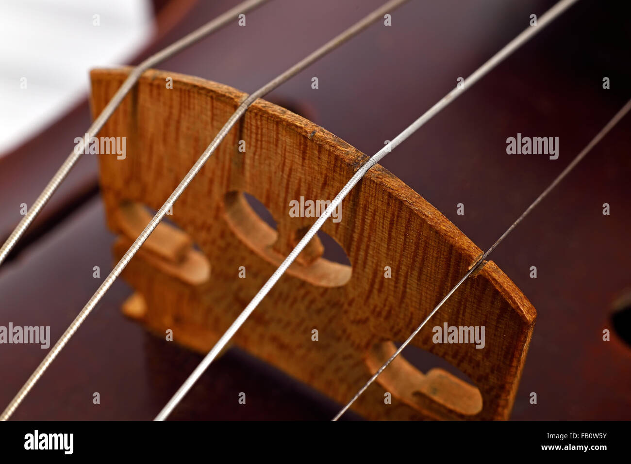 View on violin strings and violin body, Close up Stock Photo - Alamy
