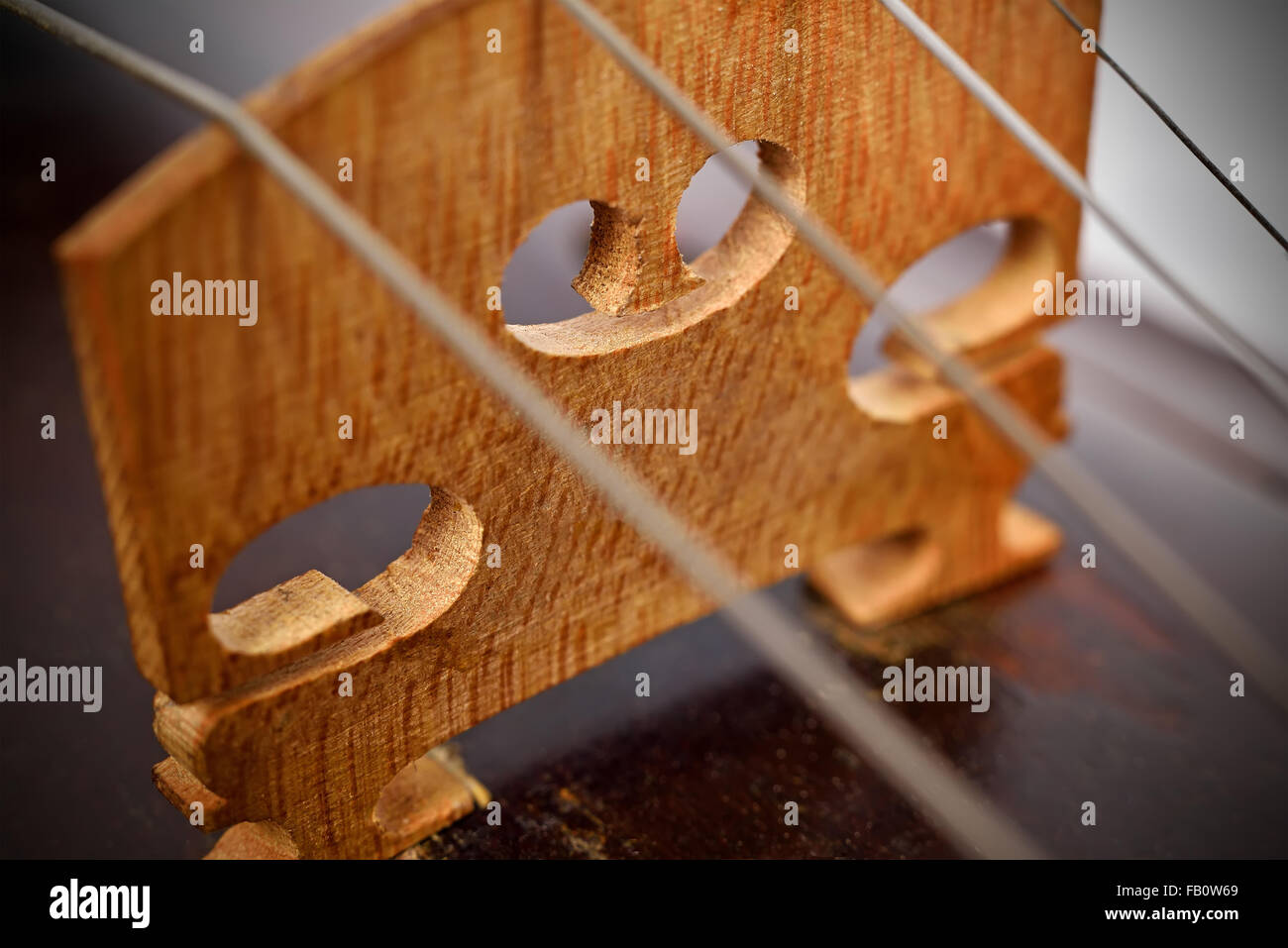 Close up view on violin strings and violin body Stock Photo - Alamy