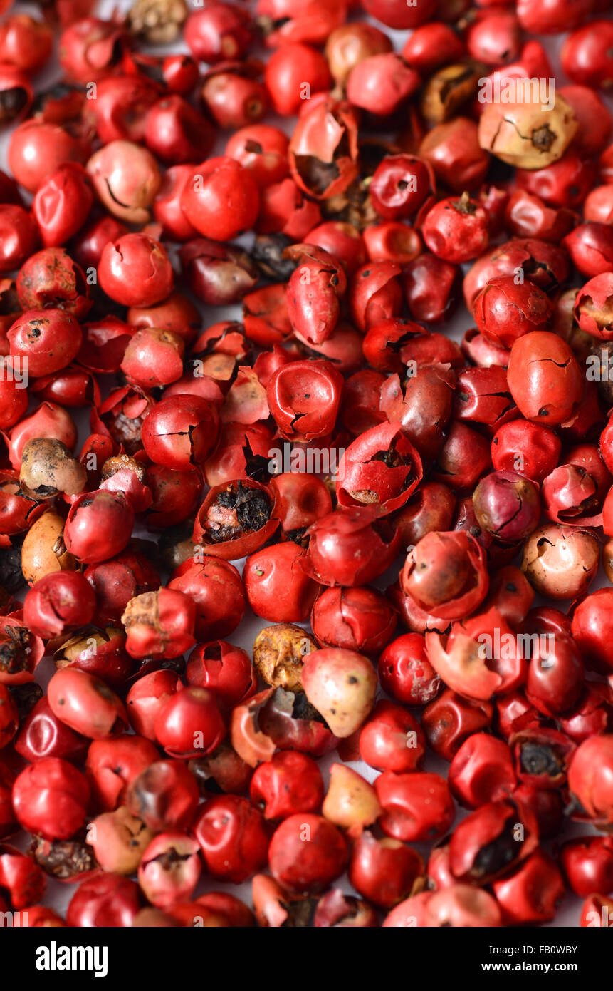 Pink peppercorns, also called "Brazil Pepper", close up image Stock ...