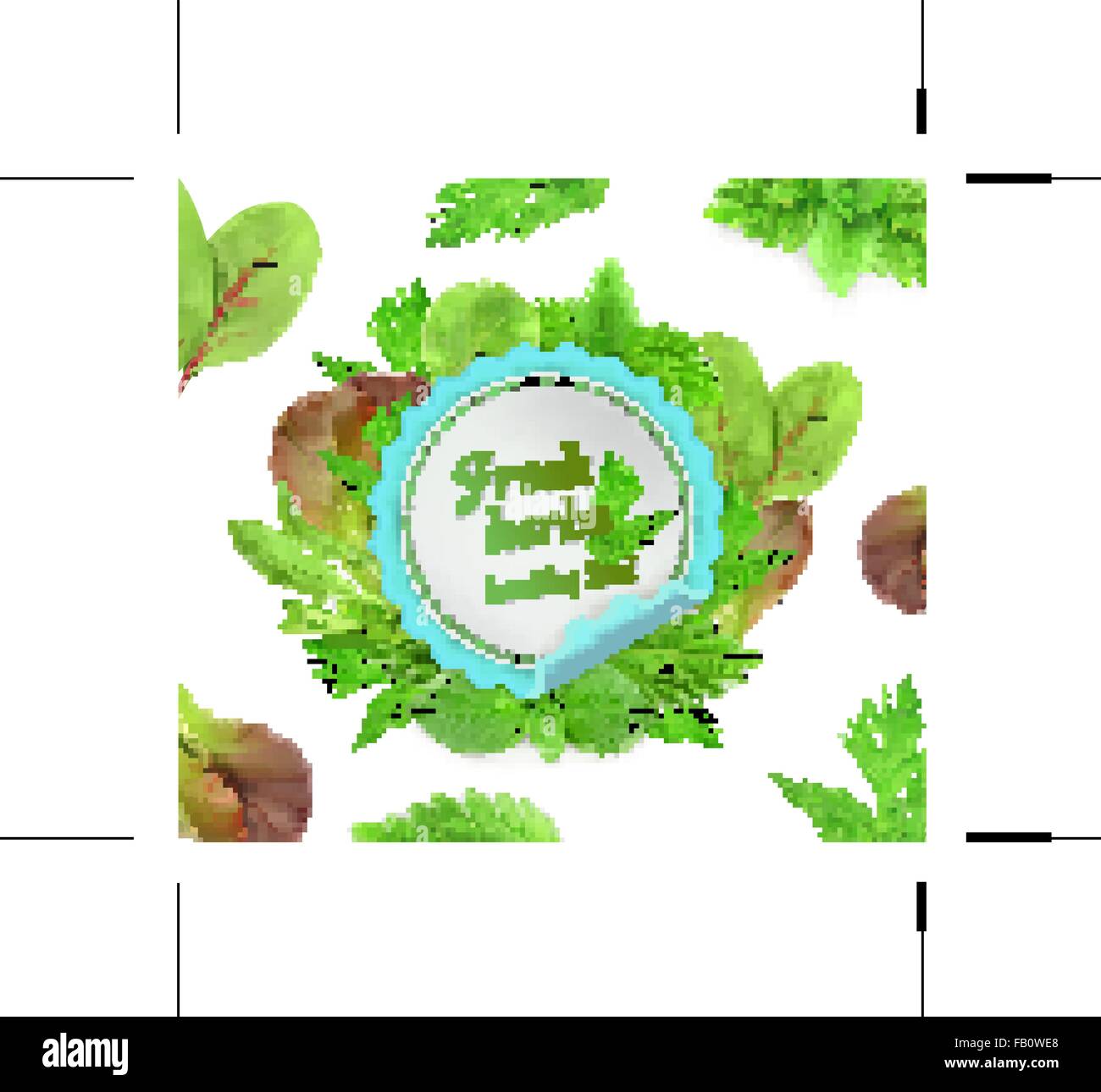 Fresh green herbs harvest Stock Vector Images - Alamy