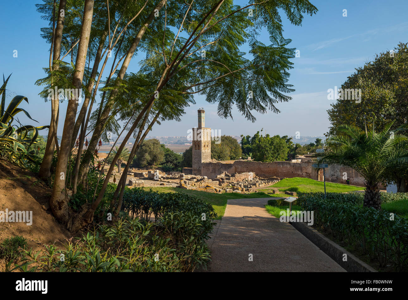 Ruins of the Roman city known as Sala Colonia and the Islamic complex ...