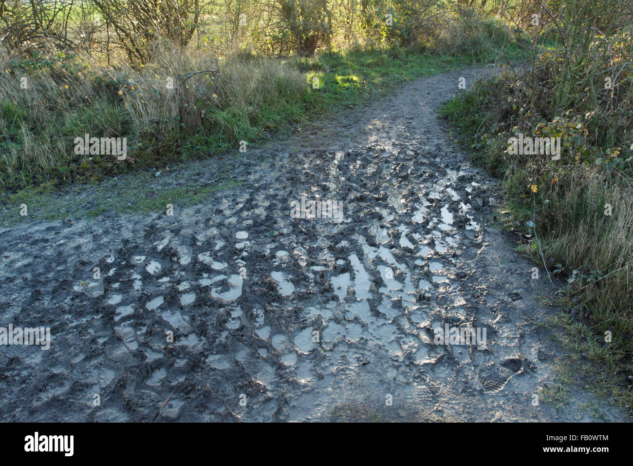 Muddy footprints hi-res stock photography and images - Alamy