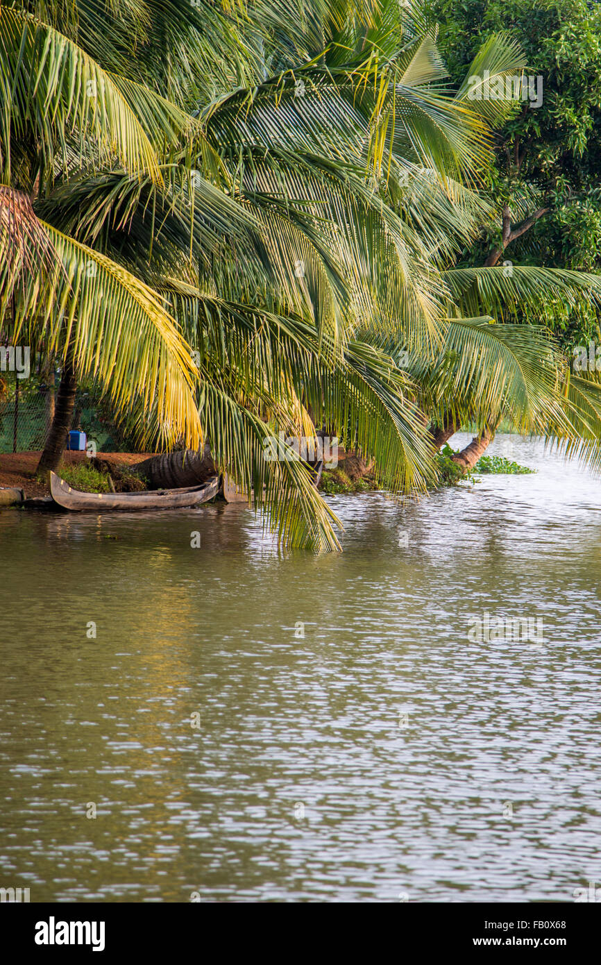 Backwaters in Kerala, India. The backwaters are an extensive network of ...