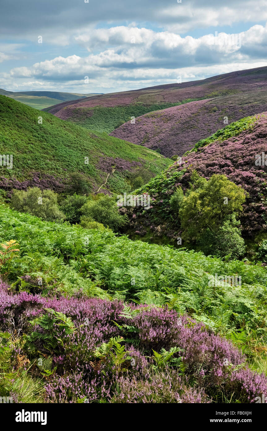 Fairbrook derbyshire landscape hi-res stock photography and images - Alamy