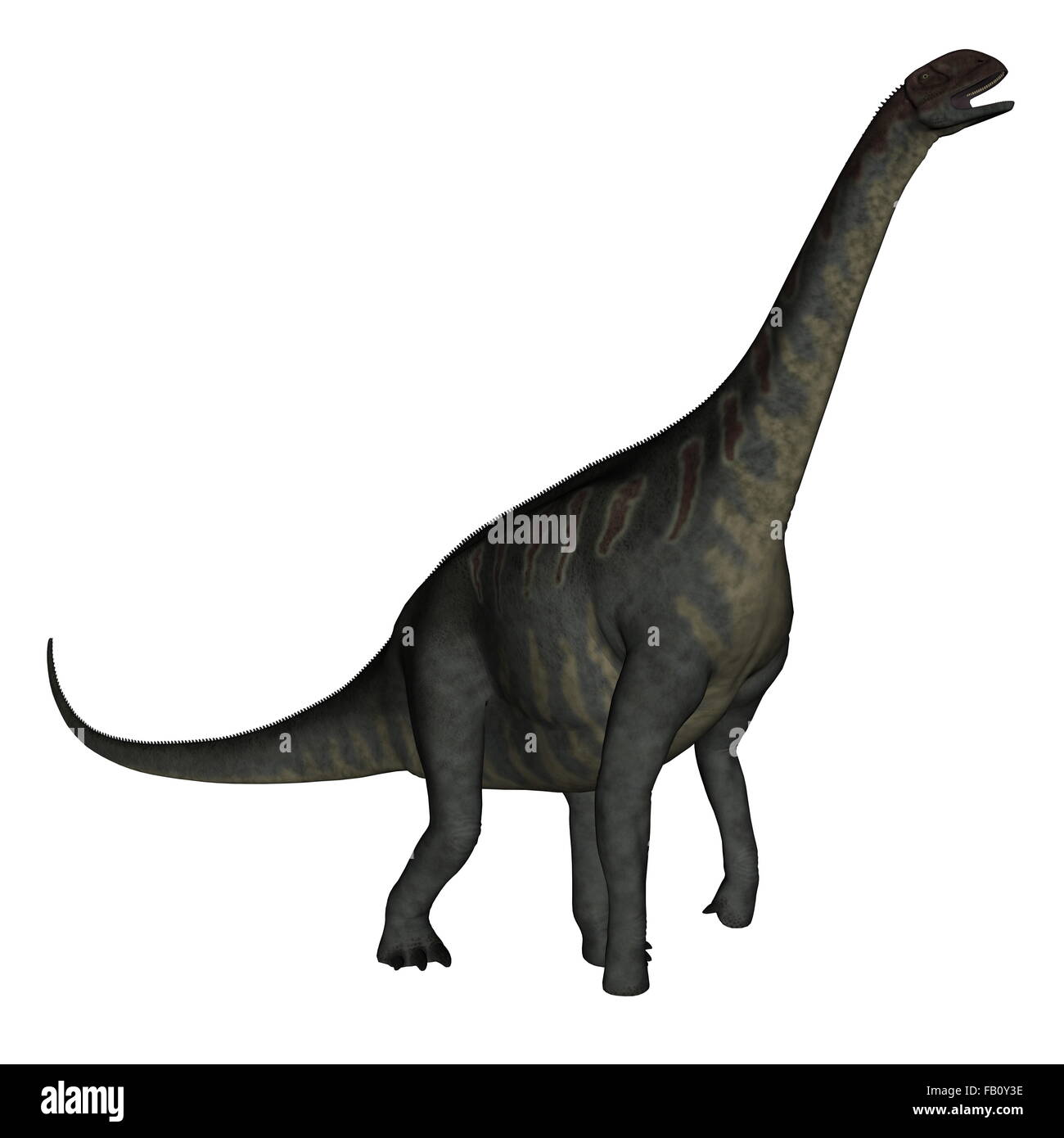 Jobaria dinosaur walking isolated in white background - 3D render Stock ...