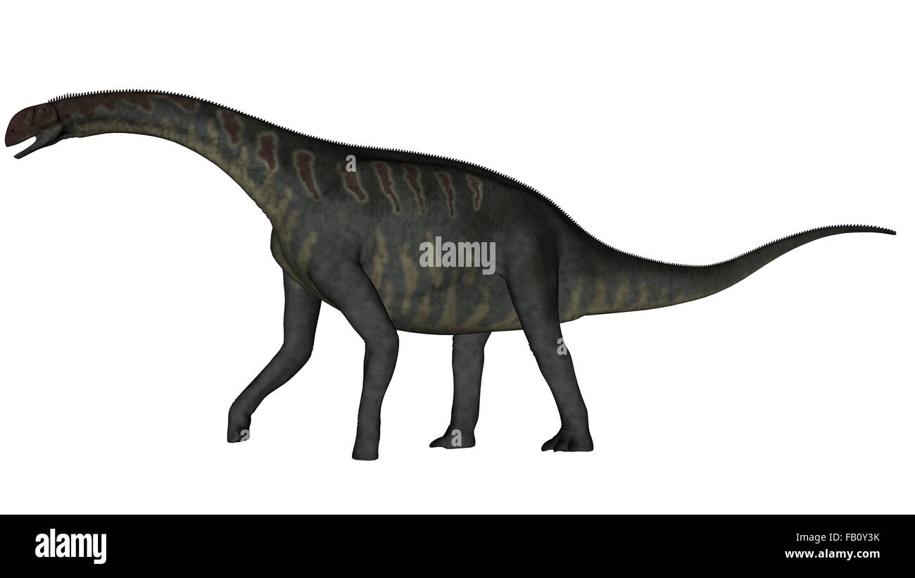 Jobaria dinosaur walking isolated in white background - 3D render Stock ...