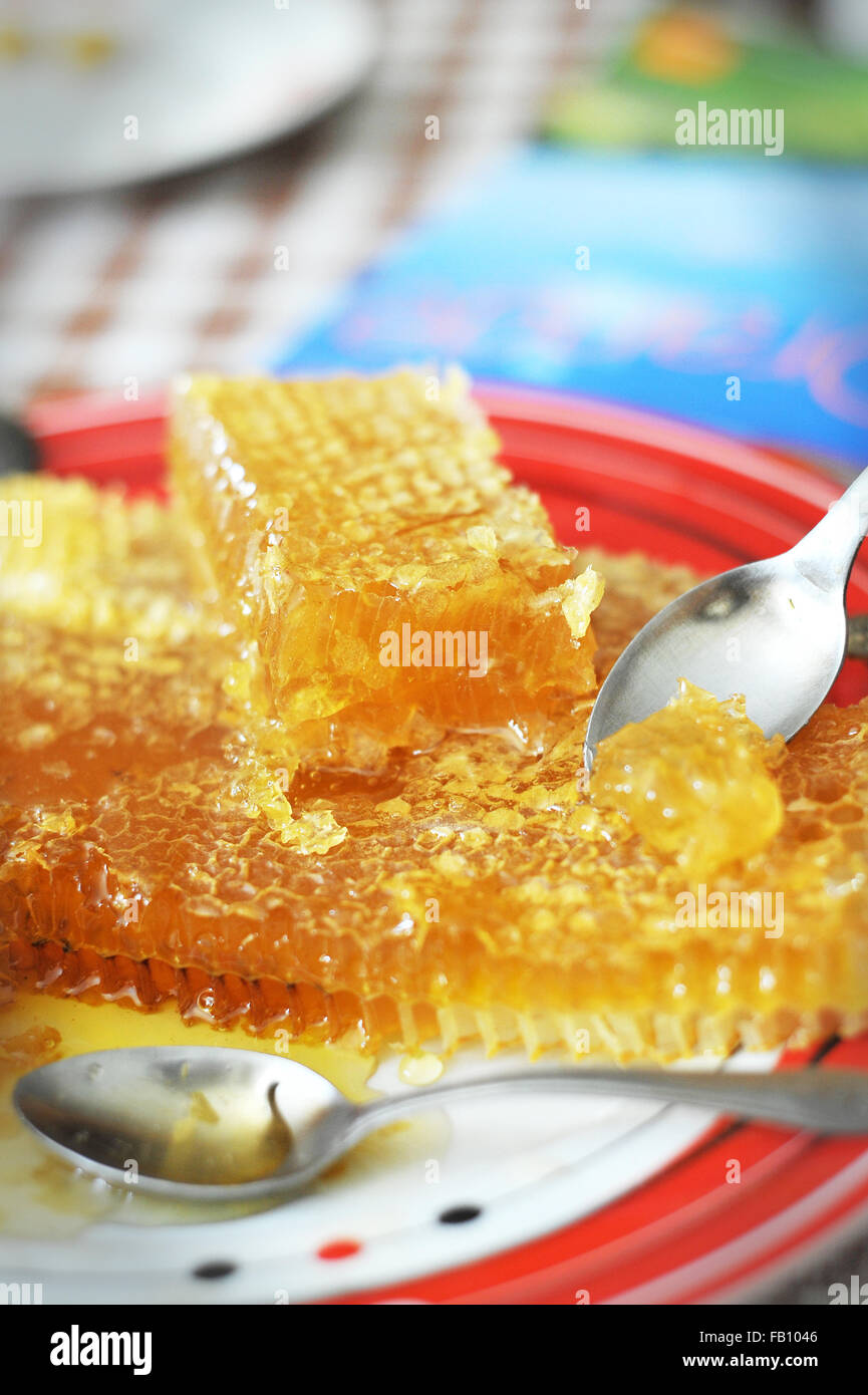 Honeycomb arrangement hi-res stock photography and images - Alamy