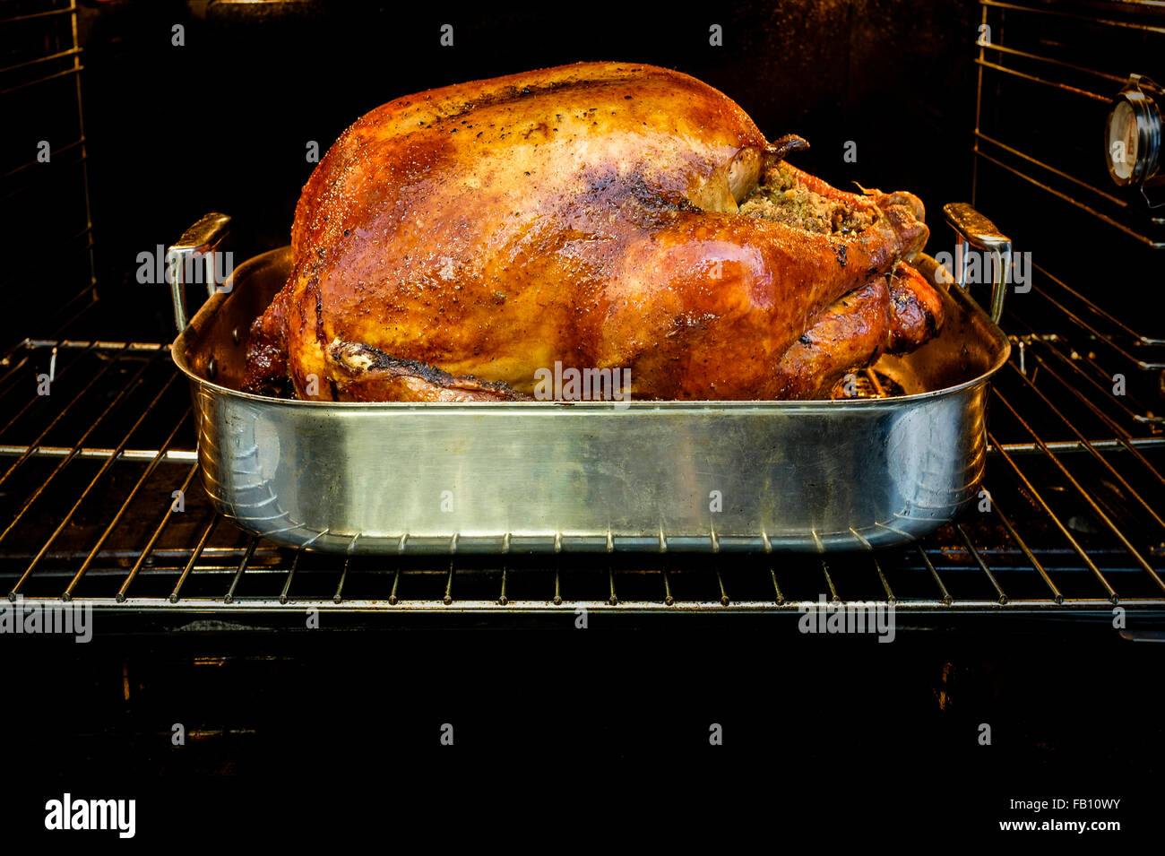 Roasted turkey for Thanksgiving in oven Stock Photo - Alamy