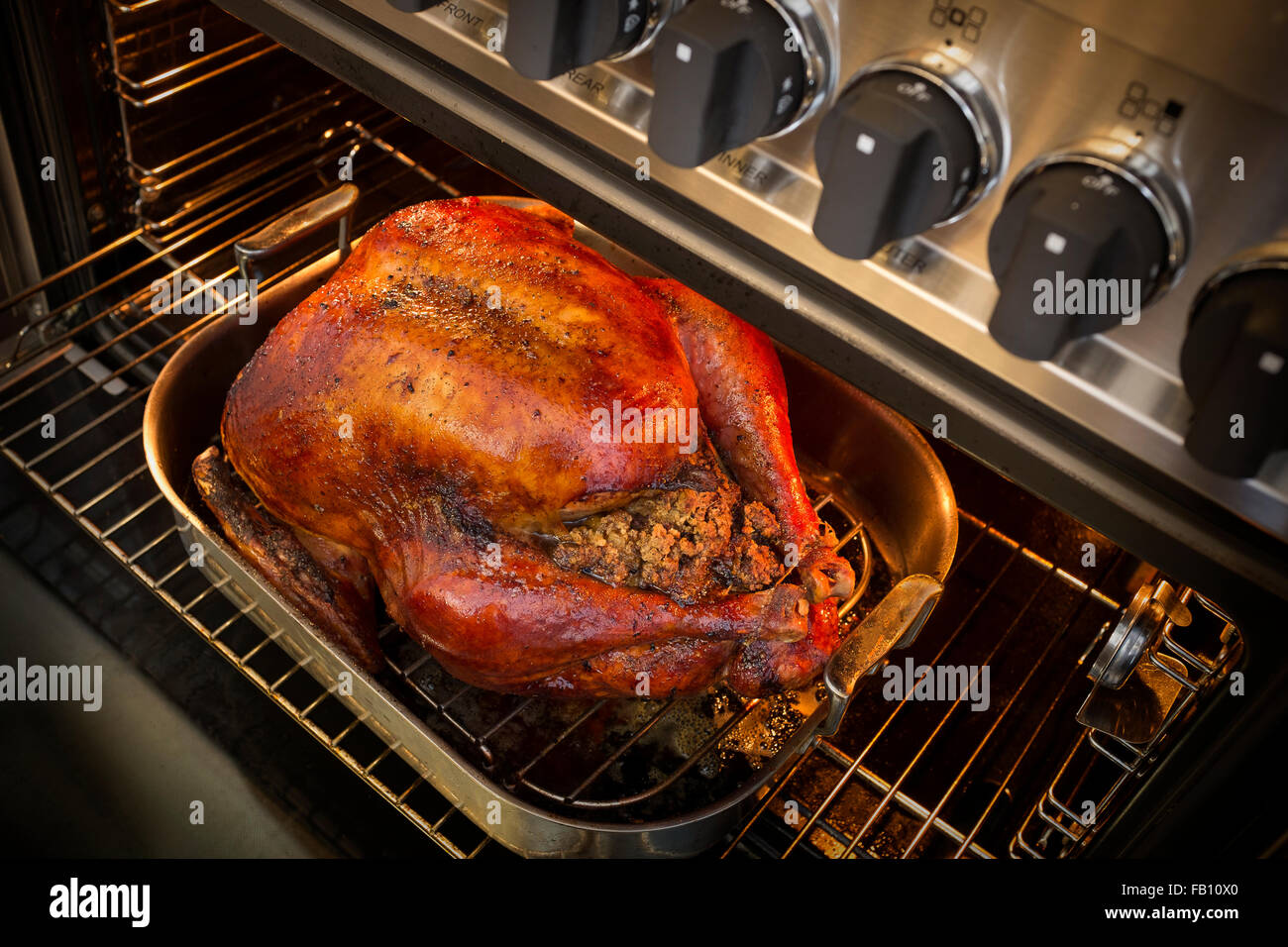 Roasted turkey for Thanksgiving in open oven Stock Photo - Alamy