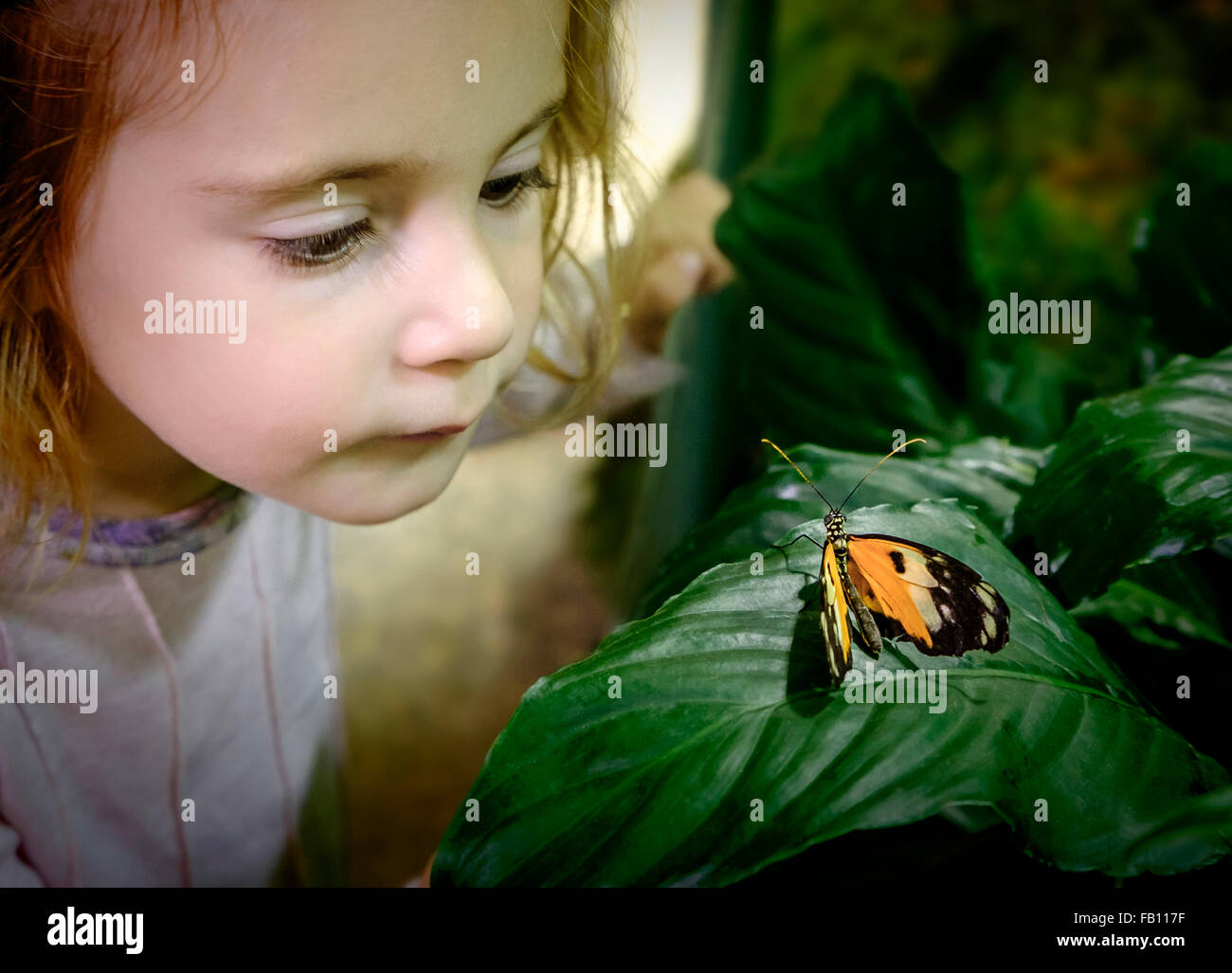 Butterfly hair hi-res stock photography and images - Alamy