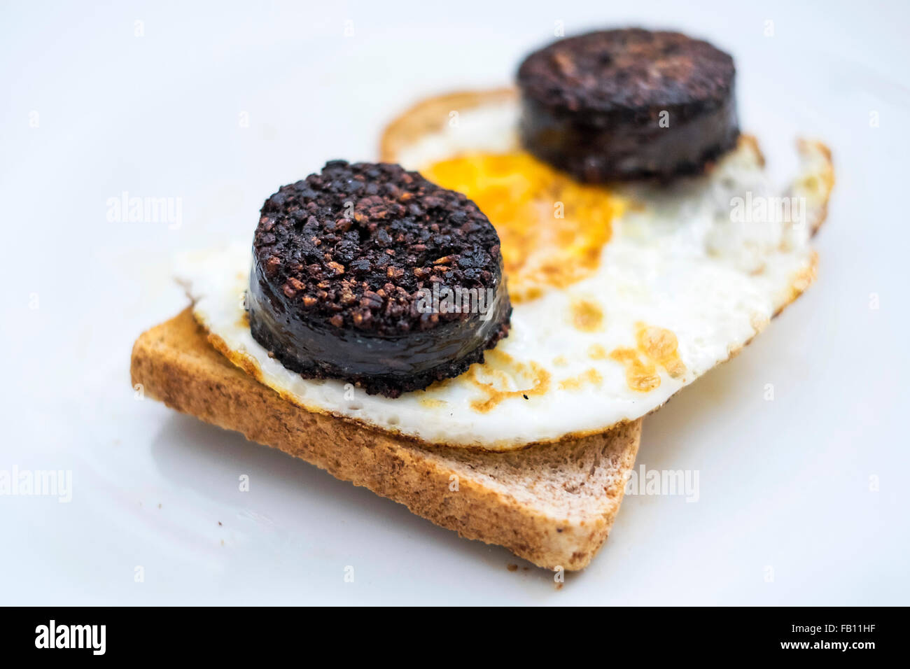 A Black Pudding sausage Stock Photo - Alamy