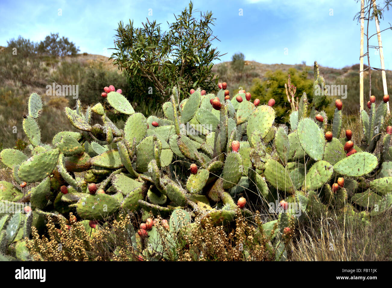 Almijara and almara hi-res stock photography and images - Alamy