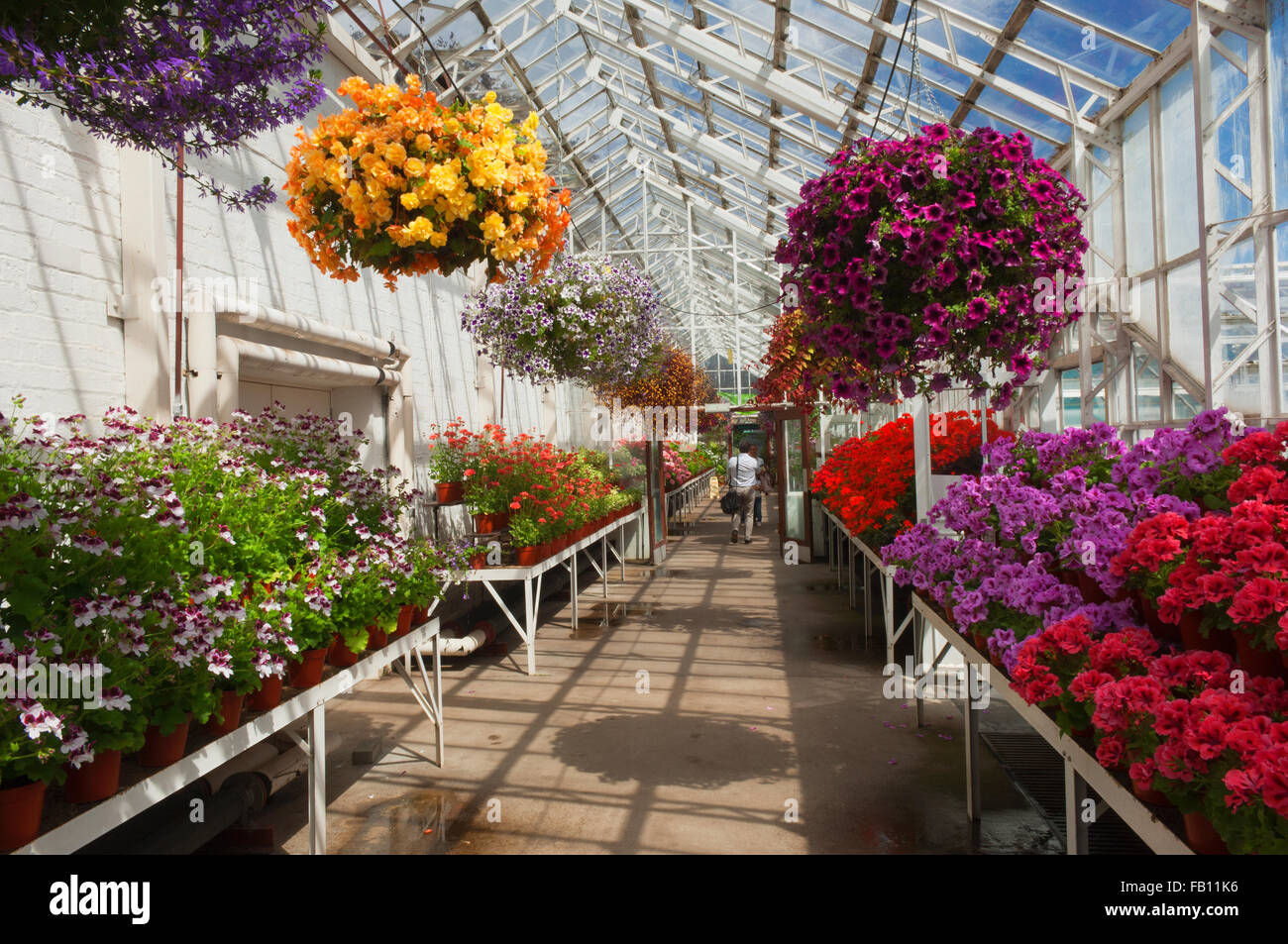 Duthie Park Winter Gardens - Aberdeen, Scotland Stock Photo - Alamy