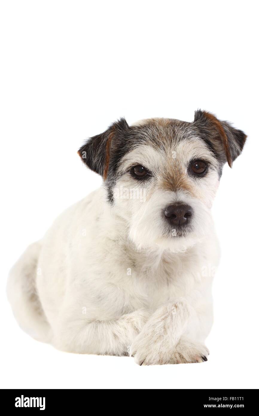 Parson cross hi-res stock photography and images - Alamy