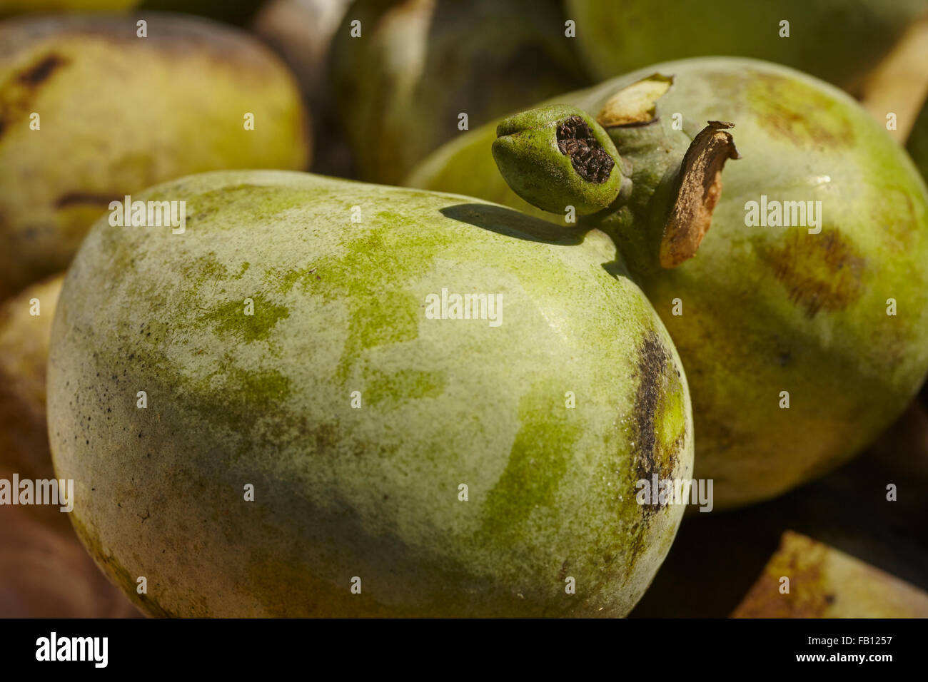 Ripe paw paw hi-res stock photography and images - Alamy