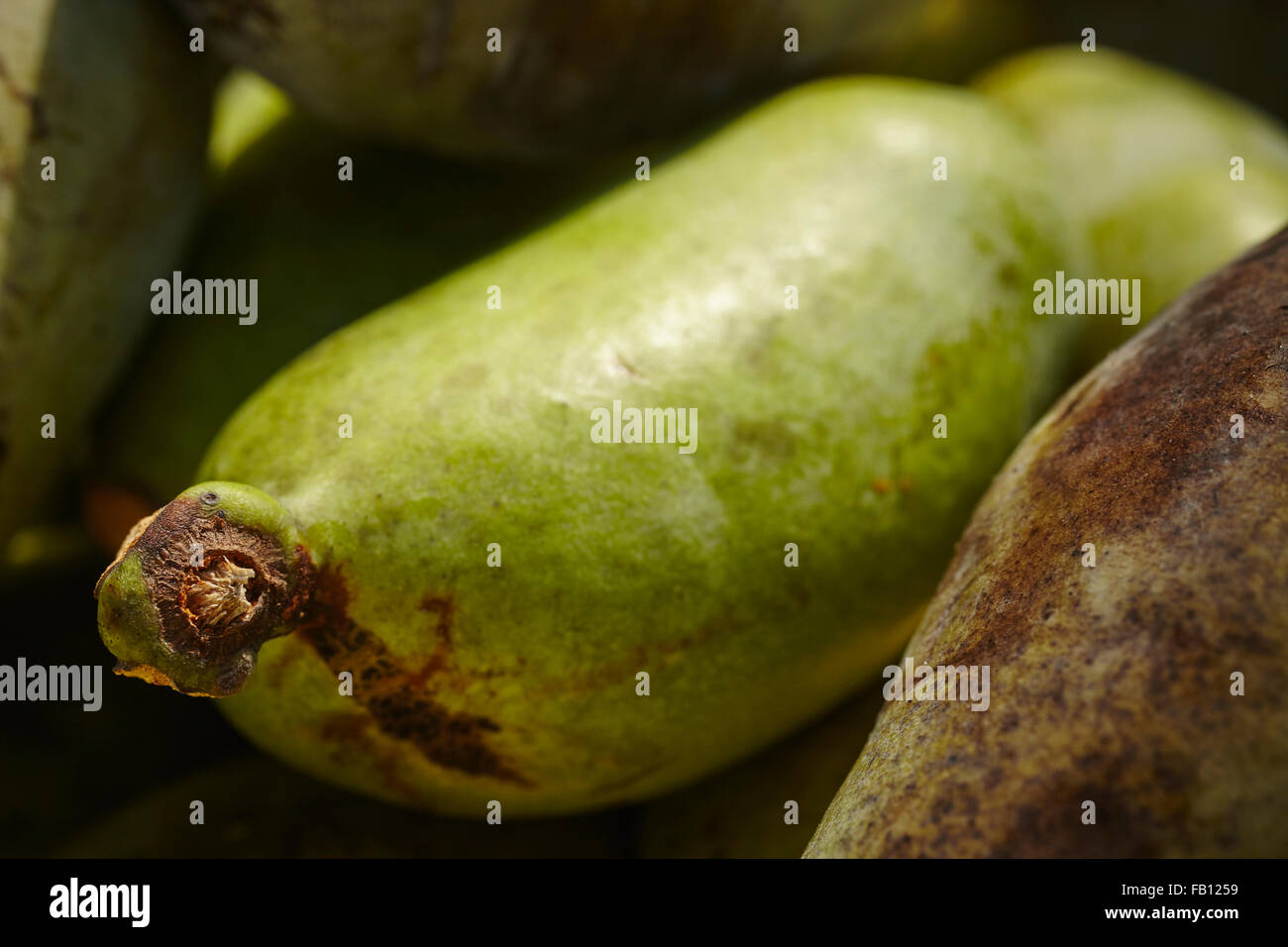 Ripe Paw Paw High Resolution Stock Photography and Images - Alamy