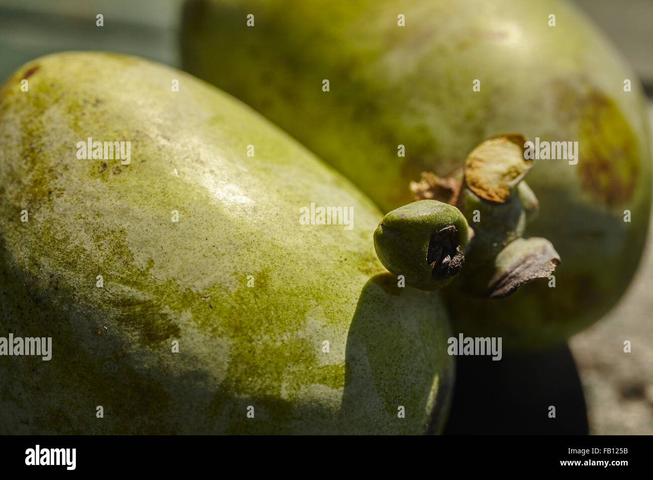 Ripe paw paw hi-res stock photography and images - Alamy