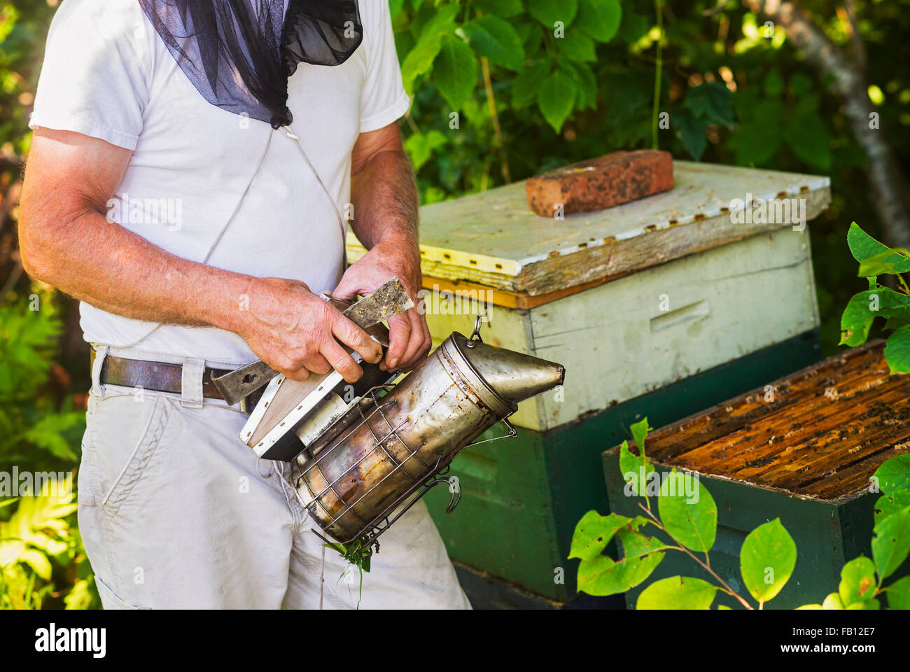 Beekeeper holding smoker Stock Photo - Alamy