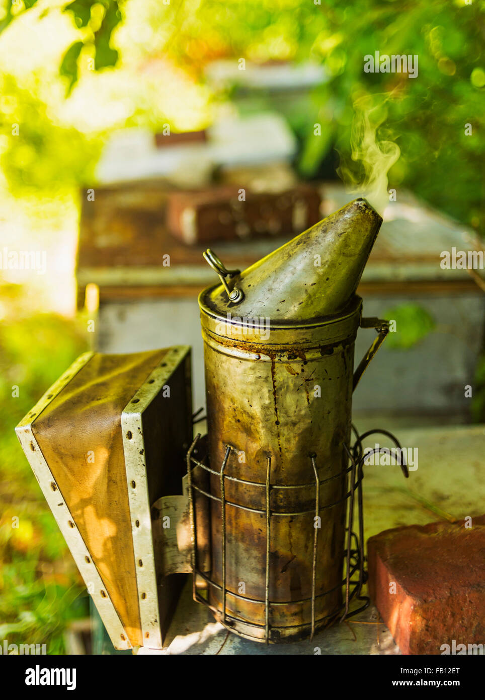 Hope, Bee smoker on beehive Stock Photo - Alamy
