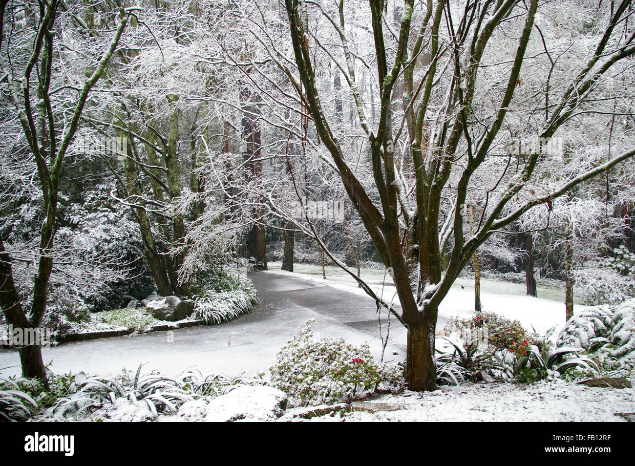 Snow blanketed scene hi-res stock photography and images - Alamy