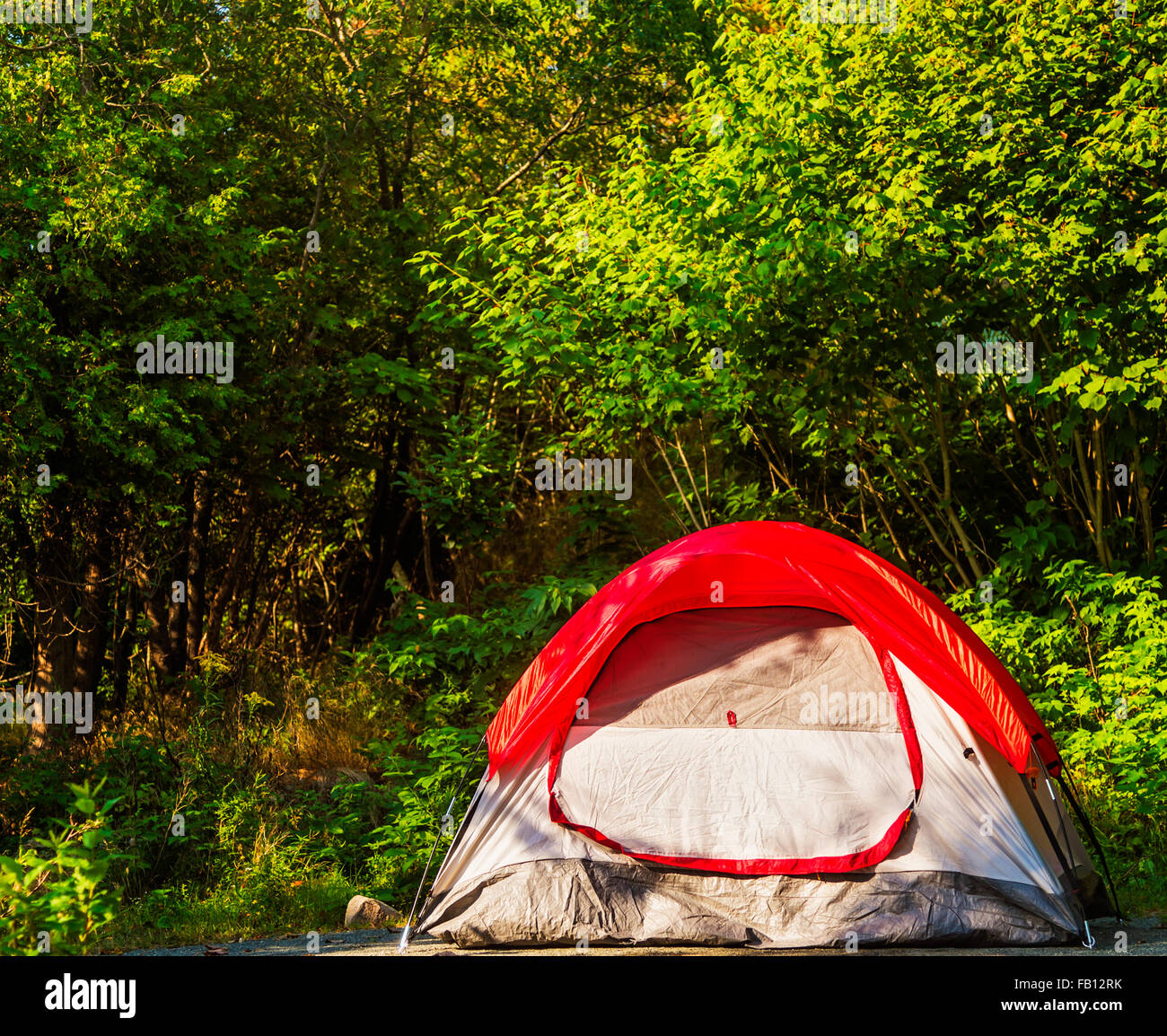 Tent in the forest tent in the forest hi-res stock photography and ...