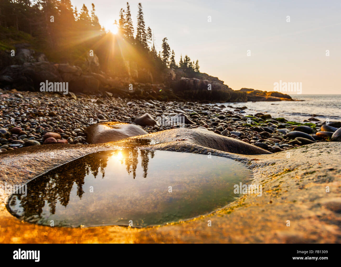 Rocks and pebbles on beach at sunrise Stock Photo - Alamy