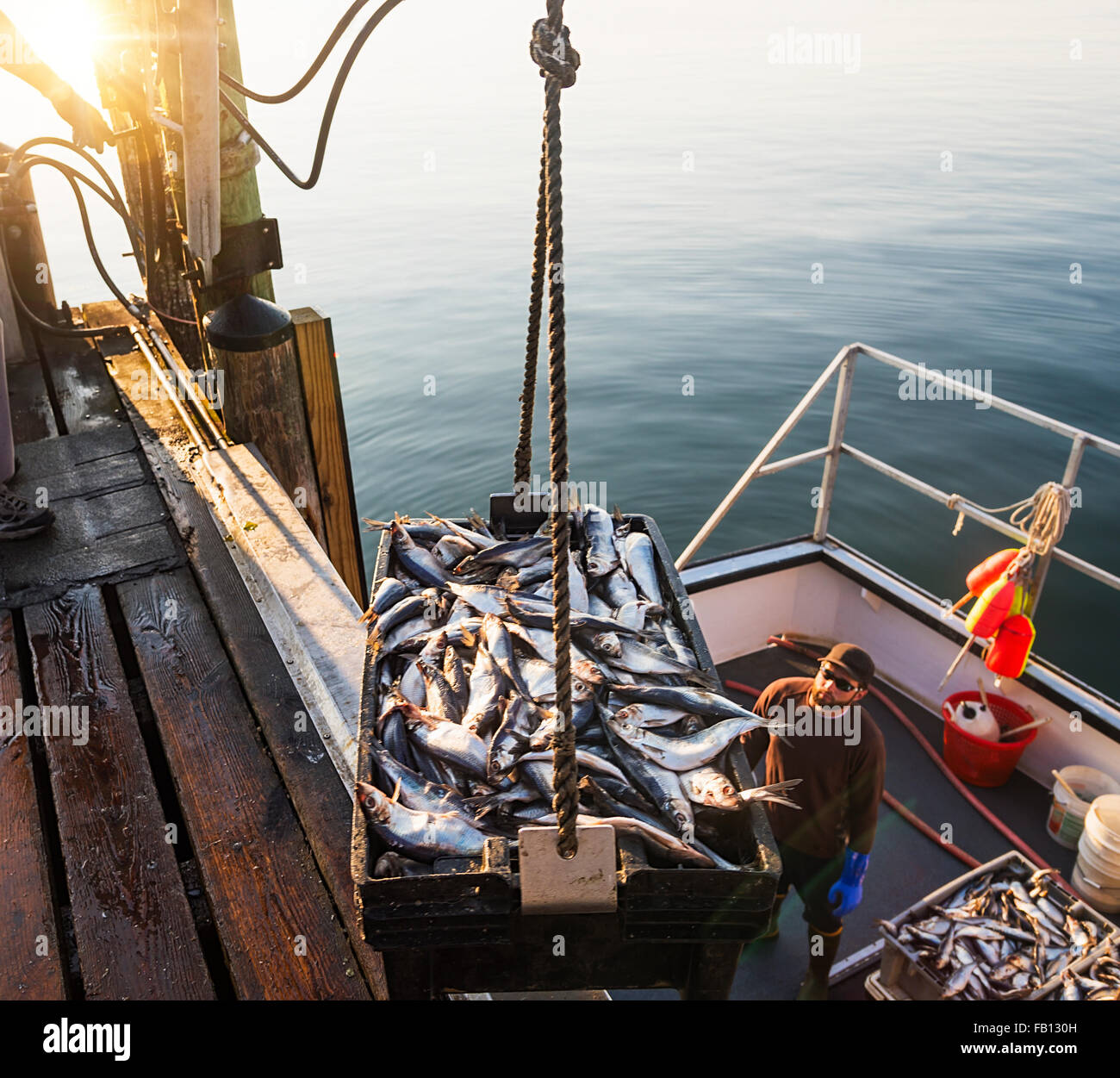 Loading lobster traps hi-res stock photography and images - Alamy