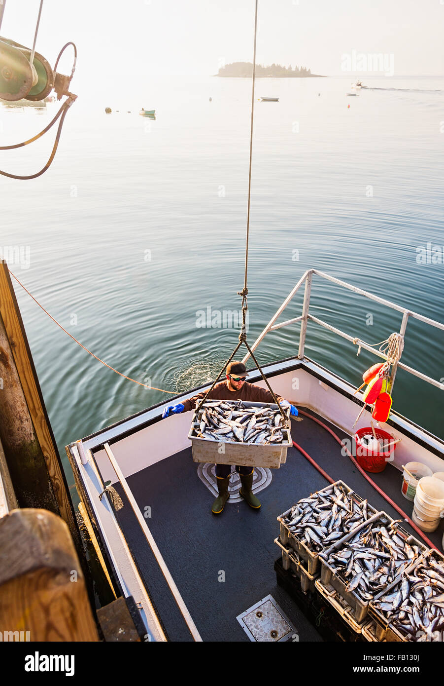 Man loading fish on boat Stock Photo - Alamy