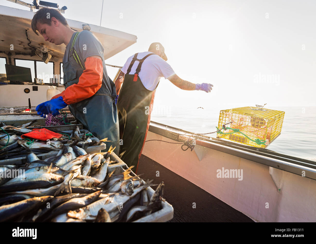 Two fishermen working on boat Stock Photo - Alamy