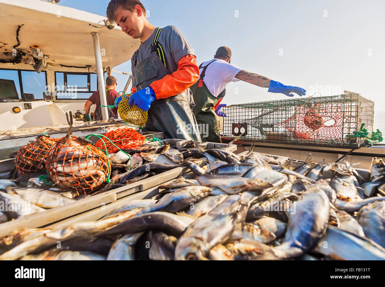 People working together on boat hi-res stock photography and images - Alamy