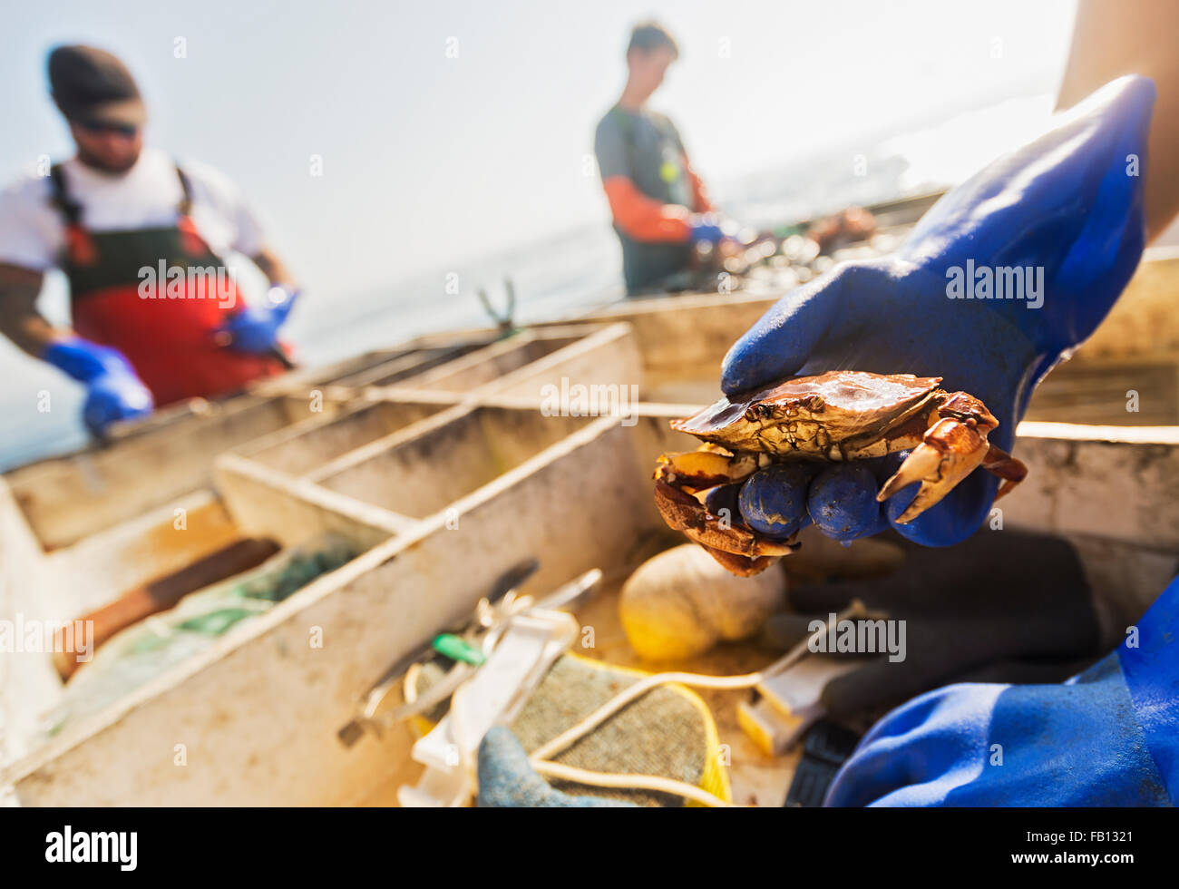 Man's hand holding crab with two fisherman working in background Stock ...
